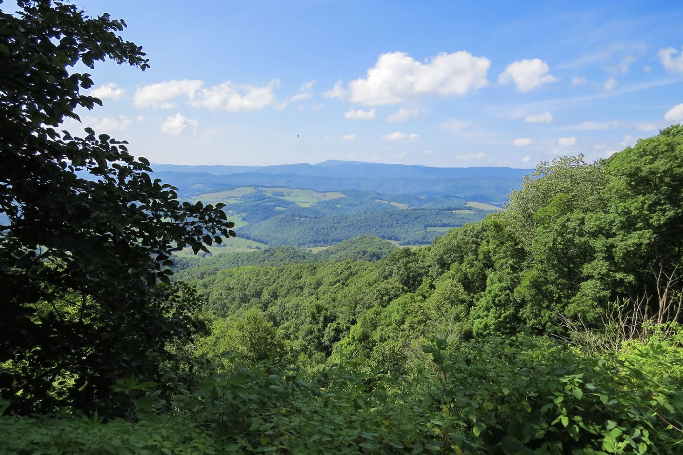 BOTDPix - Back of the Dragon